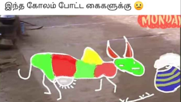 என்னடா மாட்டுக்கு சுடிதார்லாம் போட்டு விட்ருக்கீங்க? ரொம்பத்தான் ஓவரா ...
