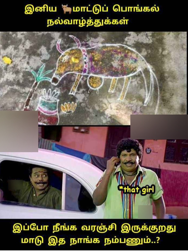 என்னடா மாட்டுக்கு சுடிதார்லாம் போட்டு விட்ருக்கீங்க? ரொம்பத்தான் ஓவரா ...