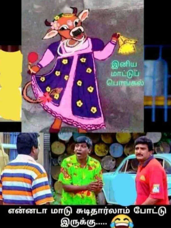 என்னடா மாட்டுக்கு சுடிதார்லாம் போட்டு விட்ருக்கீங்க? ரொம்பத்தான் ஓவரா ...