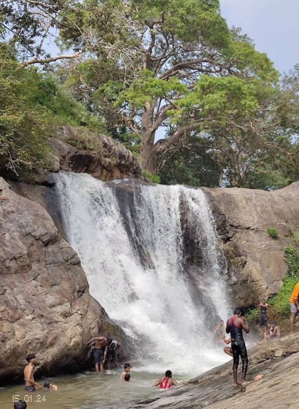 ஸ்ரீவில்லிபுத்தூர்காரங்க கொடுத்து வச்சவங்க.. எவ்வளவு அழகான அருவி ...