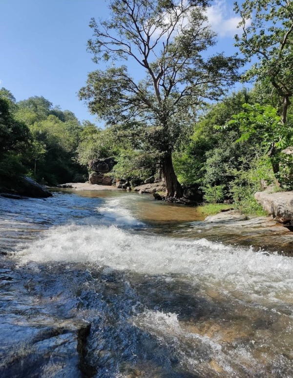 ஸ்ரீவில்லிபுத்தூர்காரங்க கொடுத்து வச்சவங்க.. எவ்வளவு அழகான அருவி ...