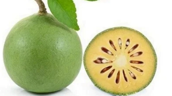 வில்வ இலை.. நுரையீரலின் "நண்பன்" வில்வம்.. கல்லீரலின் காவலன் வில்வம் ...