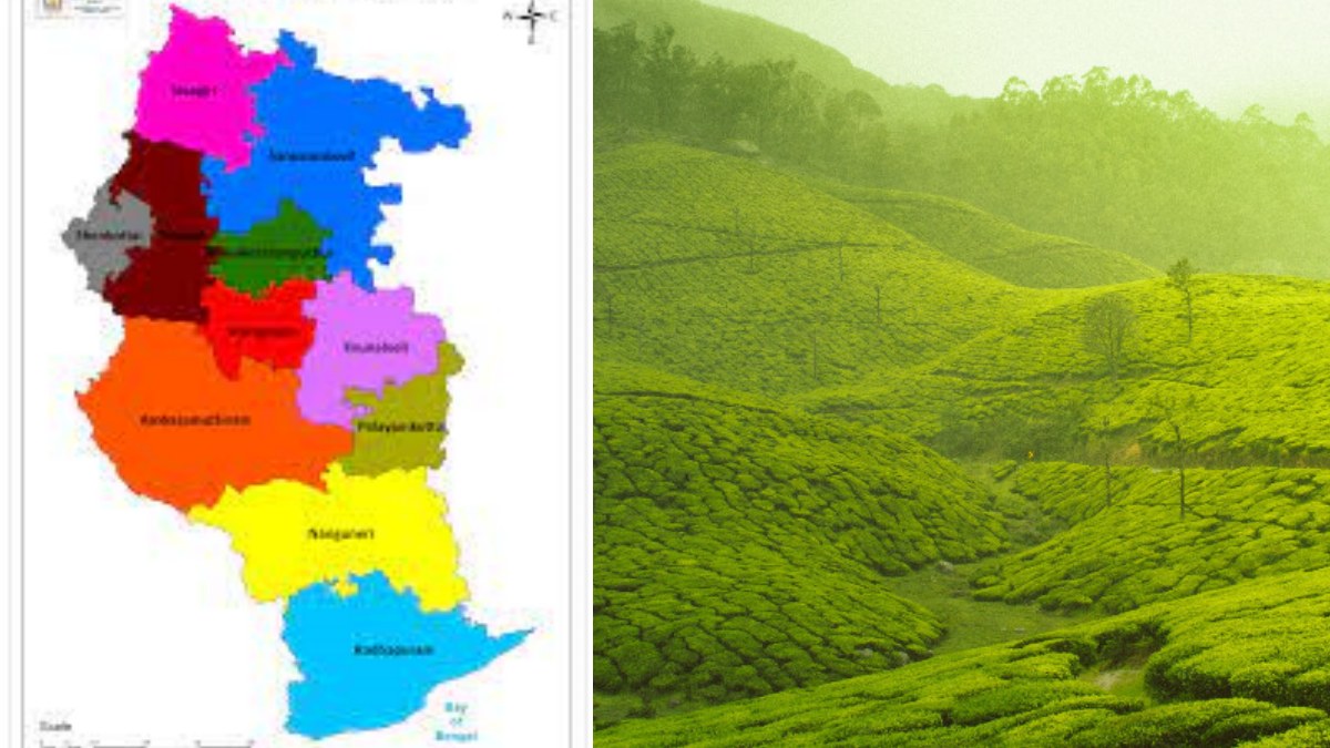 மாஞ்சோலை போறீங்களா? நெல்லை மாஞ்சோலைக்குள் லேசுல போக முடியாது.. தமிழக ...