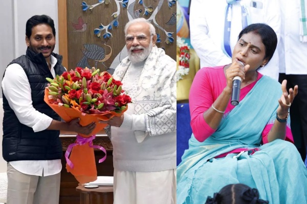 சிங்கமாவது புலியாவது.. ஜெகன் பாஜகவின் பூனை.. அண்ணன் என்றும் பாராமல் ...