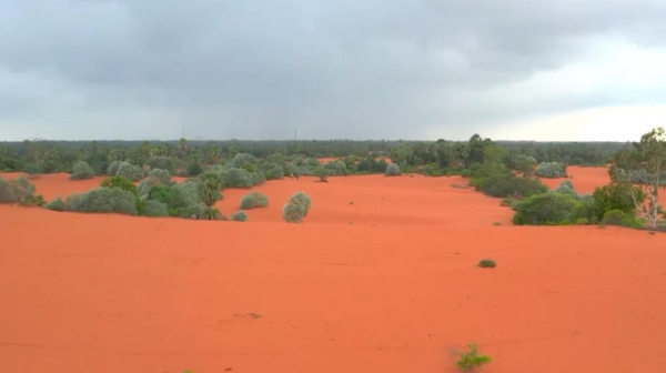 தேரிக்காடு! சிவப்பு கம்பளம் விரித்தாற் போல் மணல் மேடு! தமிழகத்தின் ஒரே ...