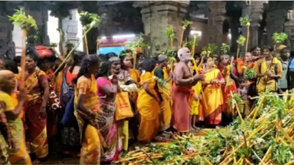 அந்த "வைக்கோல் மூட்டை"யை பார்த்தால்.. பூரித்துபோன மயிலாடுதுறை.. ஆஹா ...