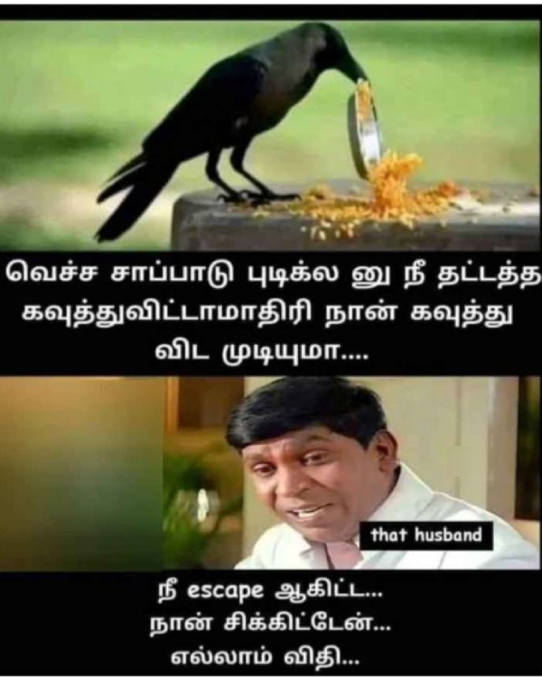 முருங்கைகாய், கத்தரிகாய்லாம் போட்டு உன்னால மட்டும் எப்டி ரசம் வைக்க ...