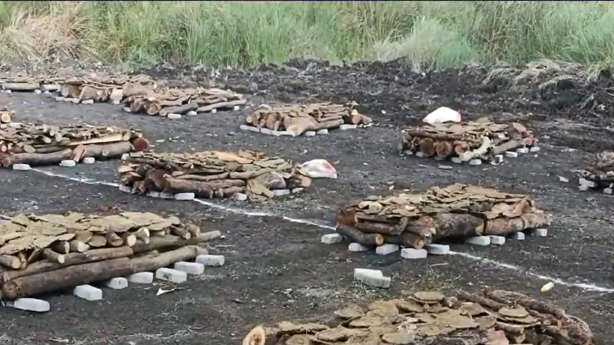 உடம்பே சிலிர்க்குதே.. கள்ளக்குறிச்சியில் உடல்களுக்கு இறுதிச்சடங்கு ...