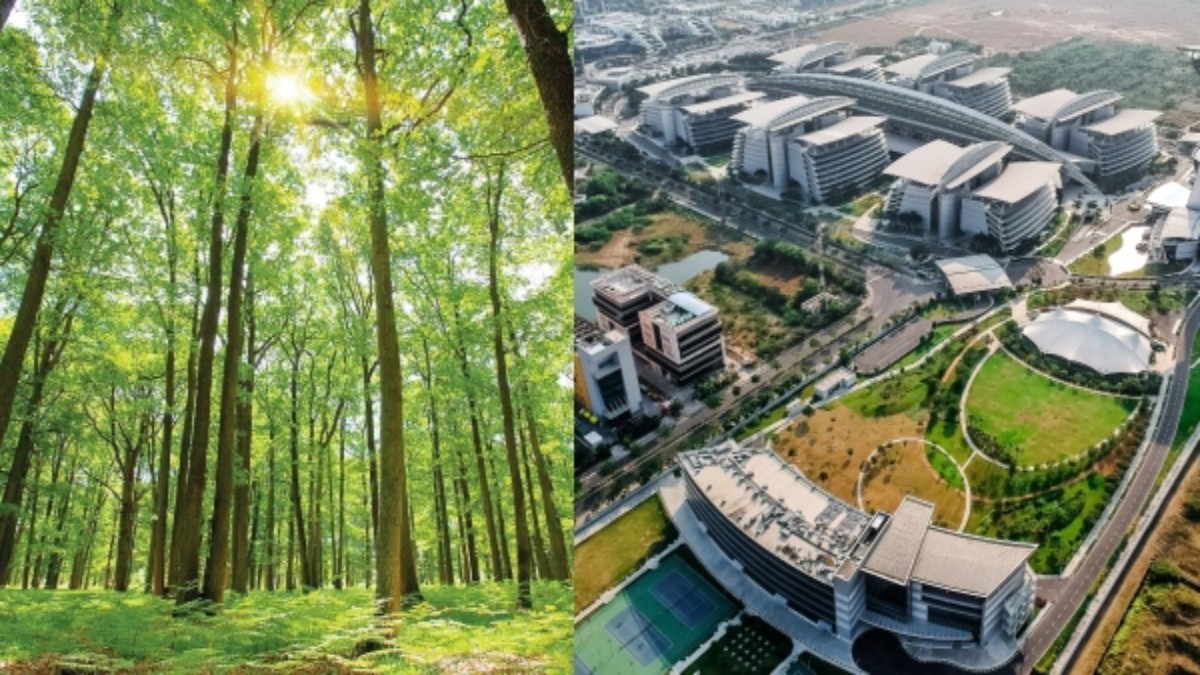 சென்னை ஐடி காரிடர் பக்கம் போறீங்களா.. மொத்த ஏரியாவும் குலுங்க போகுது.. அதுவும் சிறுசேரிதான் ...