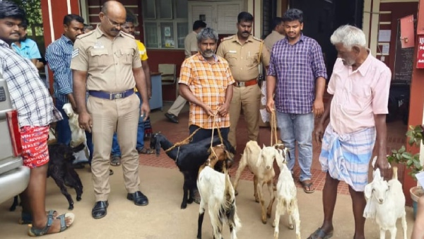 ஆடு பத்திரம்.. கோவையில் ஆட்டை திருடி மட்டன் கடை நடத்திய வியாபாரிகள் ...