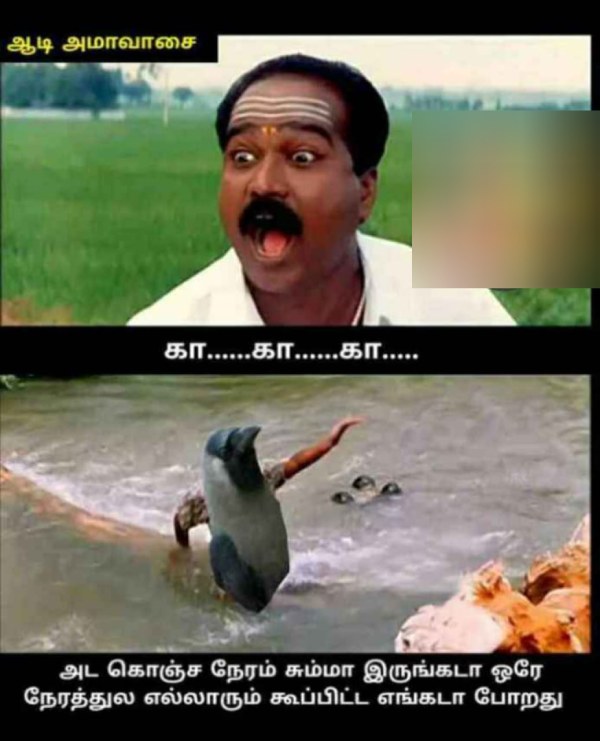 மத்த நாளெல்லாம் இதுக்கு பேரு காக்கா.. அமாவாசை அன்னைக்கு மட்டும் ...