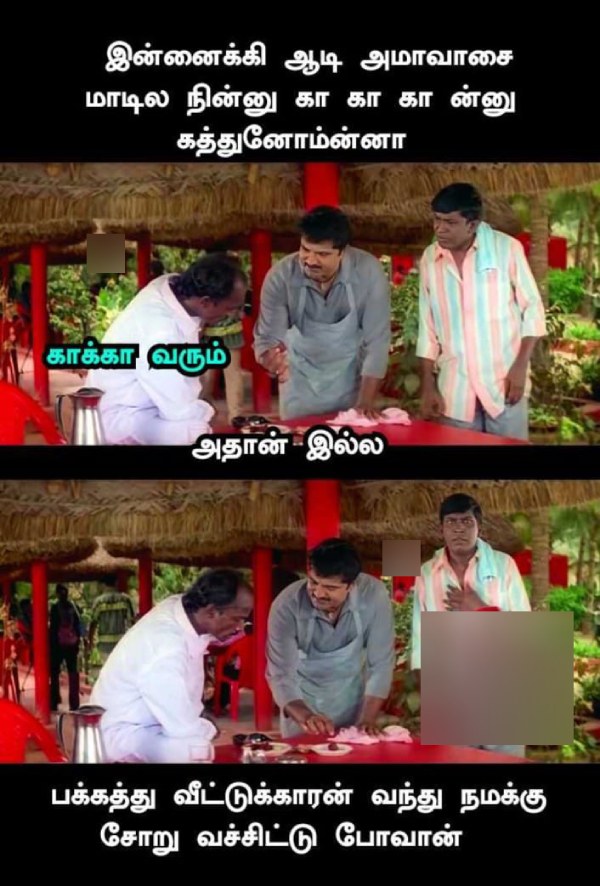 மத்த நாளெல்லாம் இதுக்கு பேரு காக்கா.. அமாவாசை அன்னைக்கு மட்டும் ...