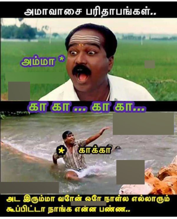 மத்த நாளெல்லாம் இதுக்கு பேரு காக்கா.. அமாவாசை அன்னைக்கு மட்டும் ...