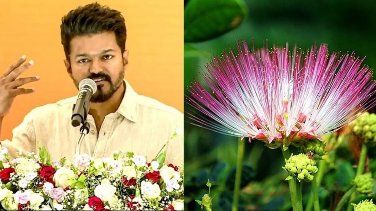 தமிழக வெற்றிக் கழக கொடியில் ‘மலர்’.. எப்படியெல்லாம் யோசிக்கிறாங்க ...