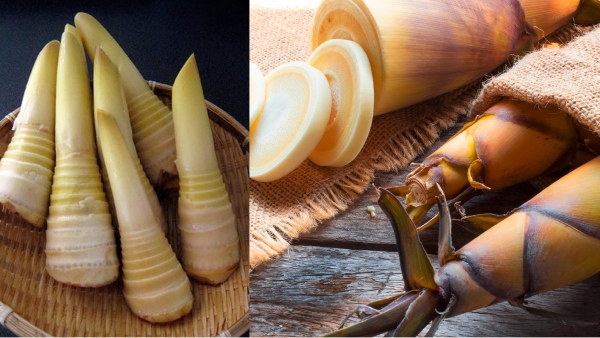 மூங்கில் தண்டு.. சுவாச கோளாறு, மாதவிடாய் சிக்கலை நீக்கும் மூங்கில் ...