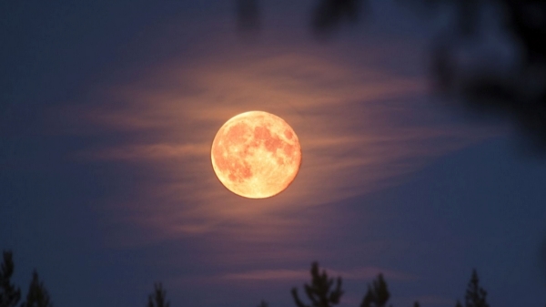 நாளை வேட்டையன் பௌர்ணமி! இந்த முழு நிலவுக்கு இவ்வளவு சிறப்பா! | Tomorrow ...