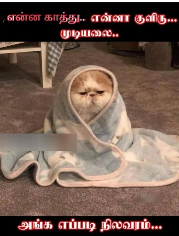 உனக்கு பொங்கல்னு பேரு வைக்கும்போதே தெரியும்டா.. நீ மசமசனு தான் ...
