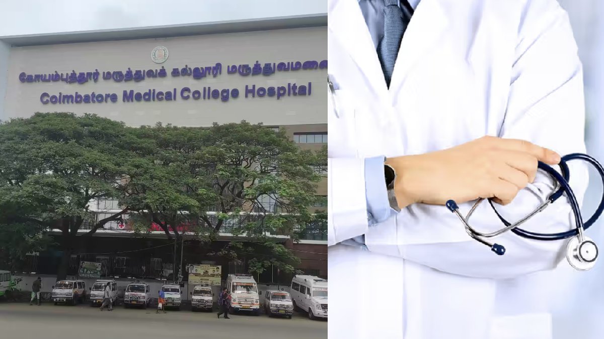 பயிற்சி மருத்துவரை கடித்த மர்ம பூச்சி.. பீதியில் கோவை அரசு மருத்துவமனை ...