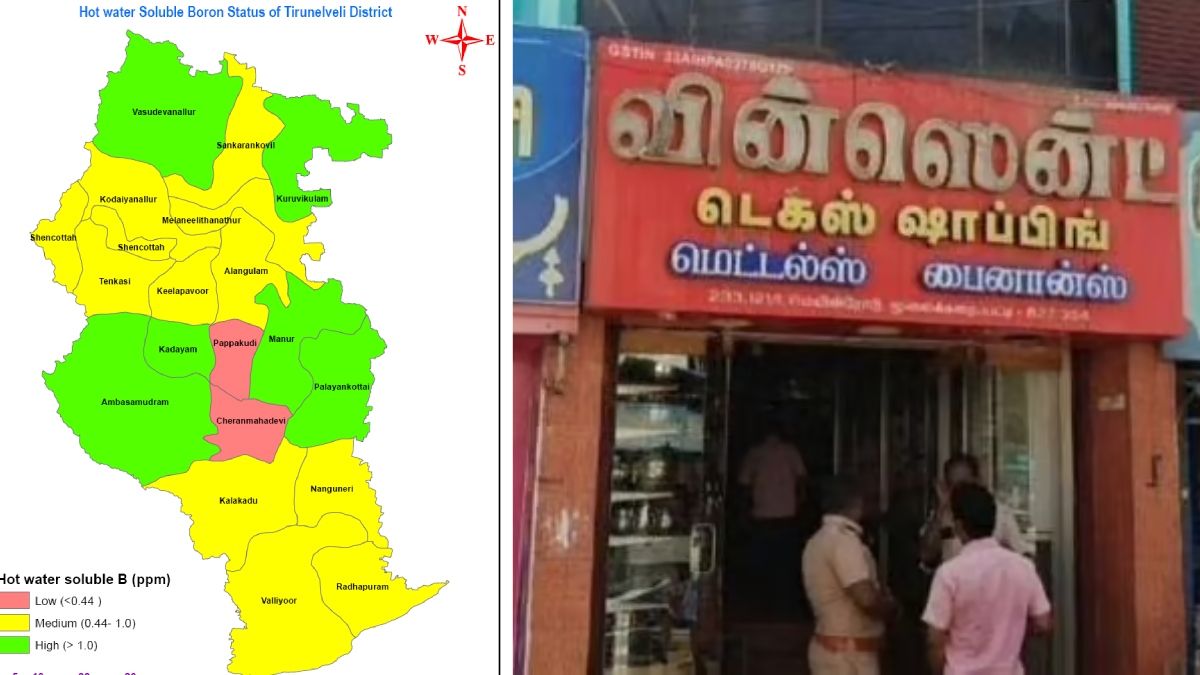திருநெல்வேலியில் மங்கி குல்லாவுடன் யாரது? 4 மாசம் படாதபாடு பட்ட நெல்லை ...