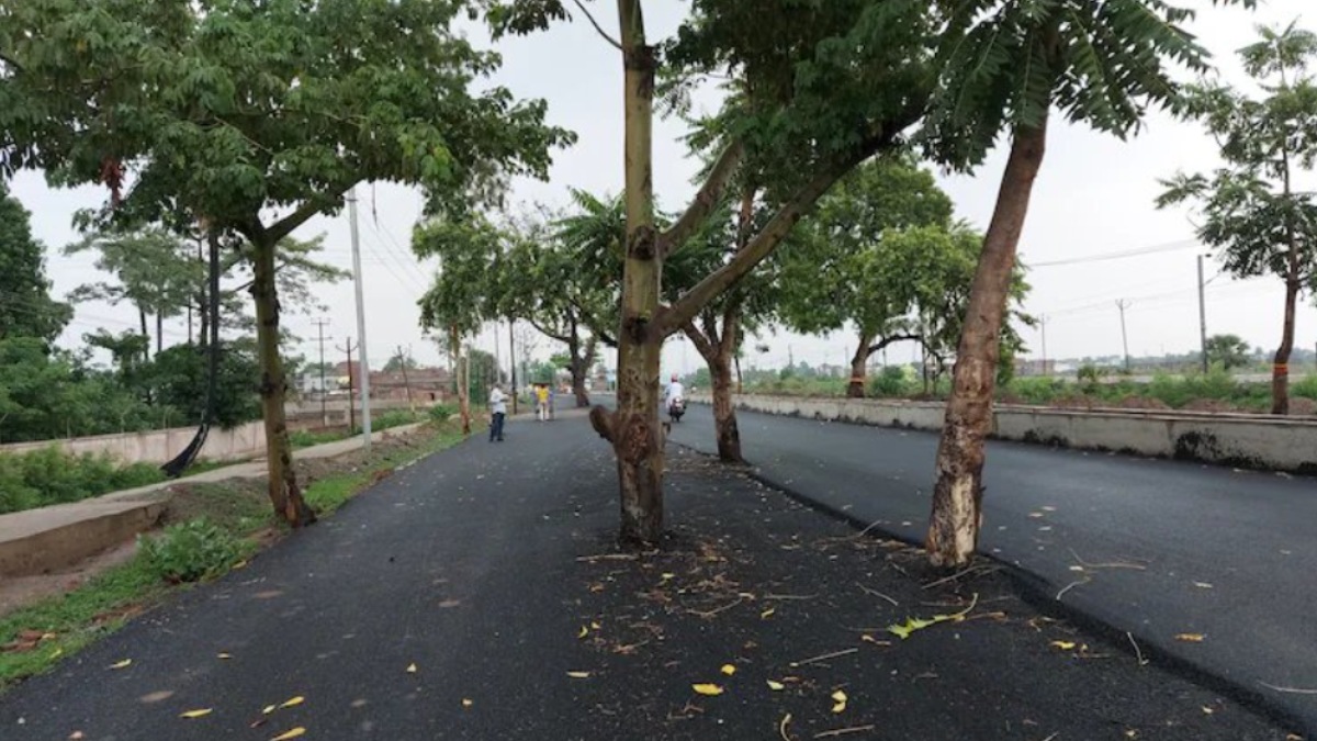 ரூ.100 கோடி ரோடு போட்டீங்க ஓகே.. ஆனா மரத்தை வெட்ட மறந்துடீங்களே.. வினோதத்தின் உச்சமான பீகார் ...