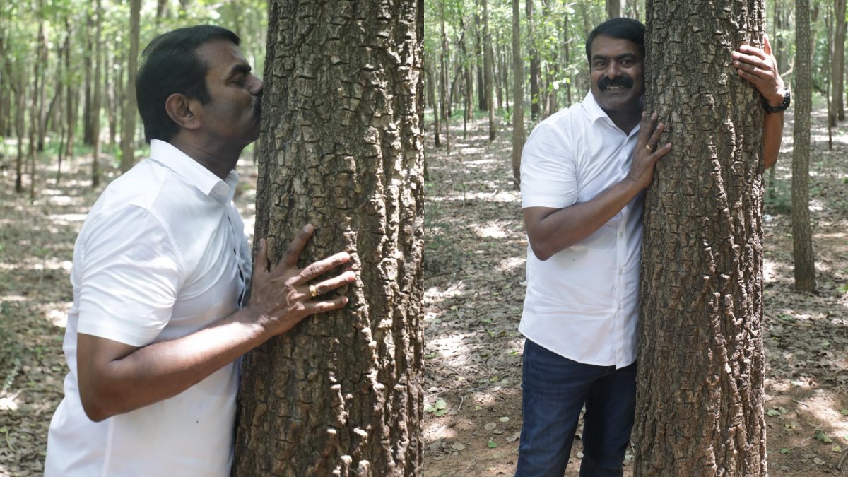 மரங்களுக்கு முத்தம் கொடுத்த சீமான்.. திருத்தணி அருகே வரும் 30 ஆம் தேதி ...