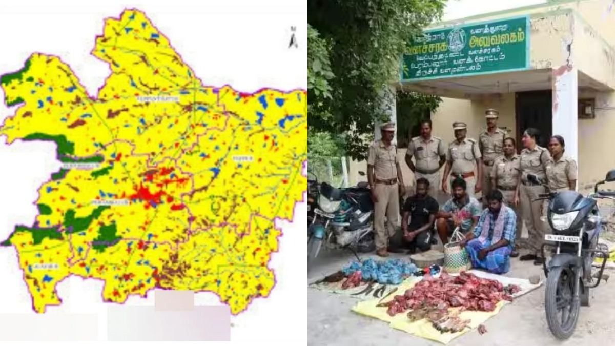 வௌவால் கறியில் சூடான சில்லி.. பெரம்பலூரில் மான்கறின்னு நினைச்சு ...