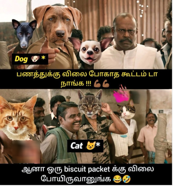 நீ எப்புடிடா சிக்காம இருக்க.. எல்லாரும் நாங்களாக முடியுமாடா! | Memes in ...