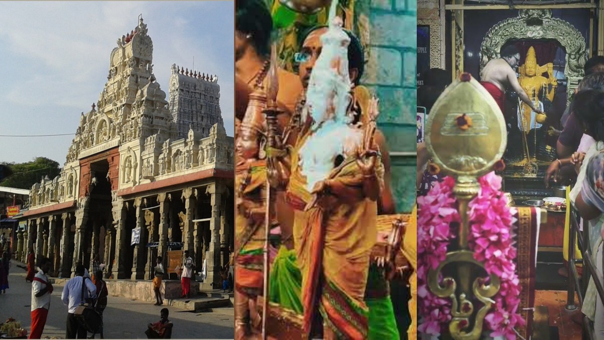 திருச்செந்தூர் முருகனுக்கு அரை கிலோ தங்கத்தில் வேல் செலுத்திய தமிழ் ...