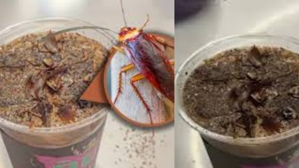 China Coffee: "ஈ" விழுந்தாலே கீழே ஊத்திடுவோம்! இதுல கரப்பான்பூச்சில ...