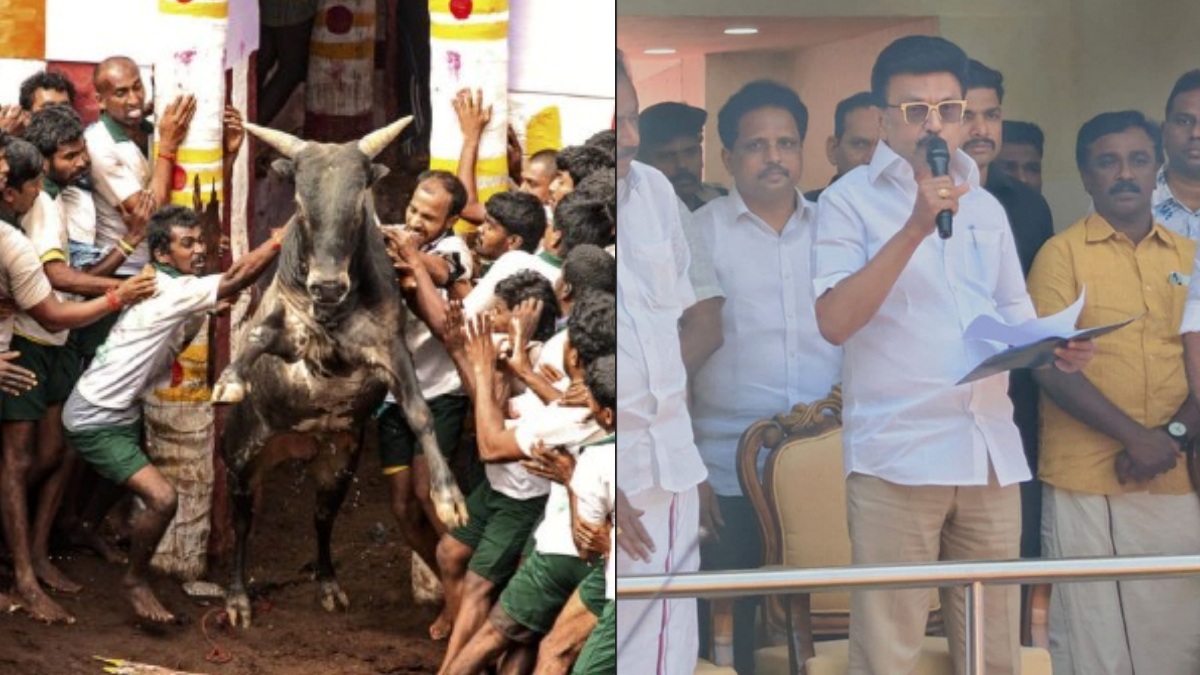 சிறந்த மாடுபிடி வீரருக்கு அரசுப் பணி வழங்கப்படும்.. அலங்காநல்லூரில் ...