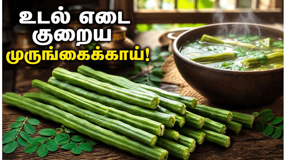 முருங்கைக்காய் சாப்பிட்டால் உடல் எடை குறையுமா? வியக்க வைக்கும் மருத்துவ ...