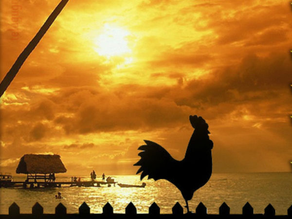 ముక్కనుమ నిజంగా నాన్-వెజ్ పండుగనా, శాస్త్రంలో ఆ ప్రస్తావన ఉందా ...