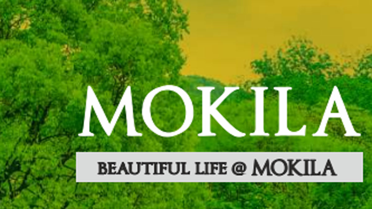 కాసులు కురిపించిన మోకిల: ఒక్క చదరపు అడుగు రూ.లక్ష పైనే: అమ్ముడుపోని ఆ ...