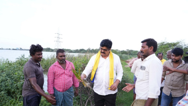 Gudivada Politics:గుడివాడలో టీడీపీ కొత్త లెక్కలు - సర్వేల్లో తేలిందేంటి ...