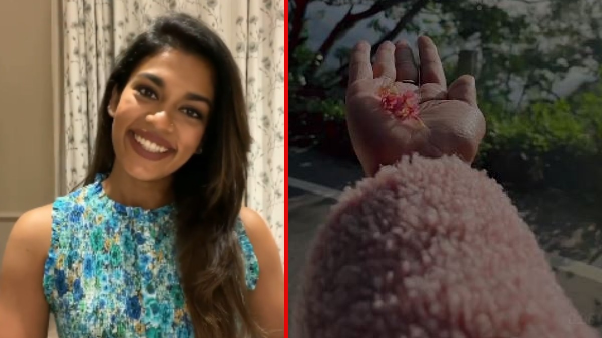 మరో ప్రేమలో మెగాడాటర్ శ్రీజ..వీడియో వైరల్ | mega daughter sreeja revealed her love video viral ...