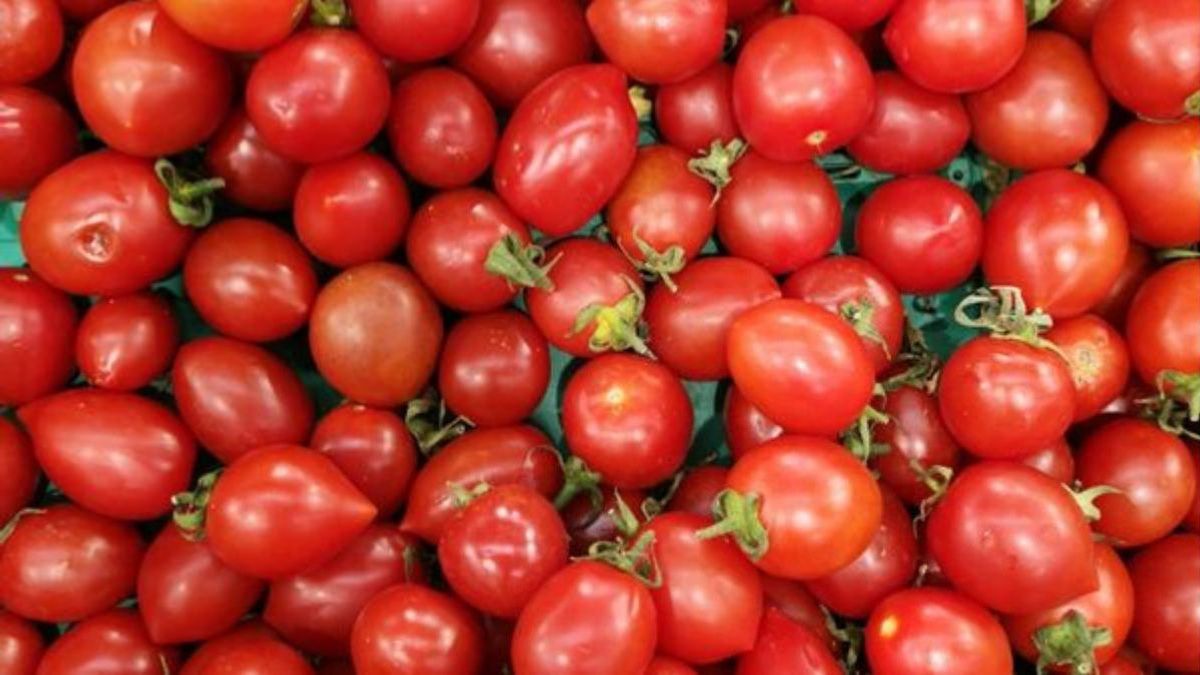 Tomato Health benefits: క్యాన్సర్ నుంచి చర్మ సంరక్షణ వరకు టమాటాతో ...