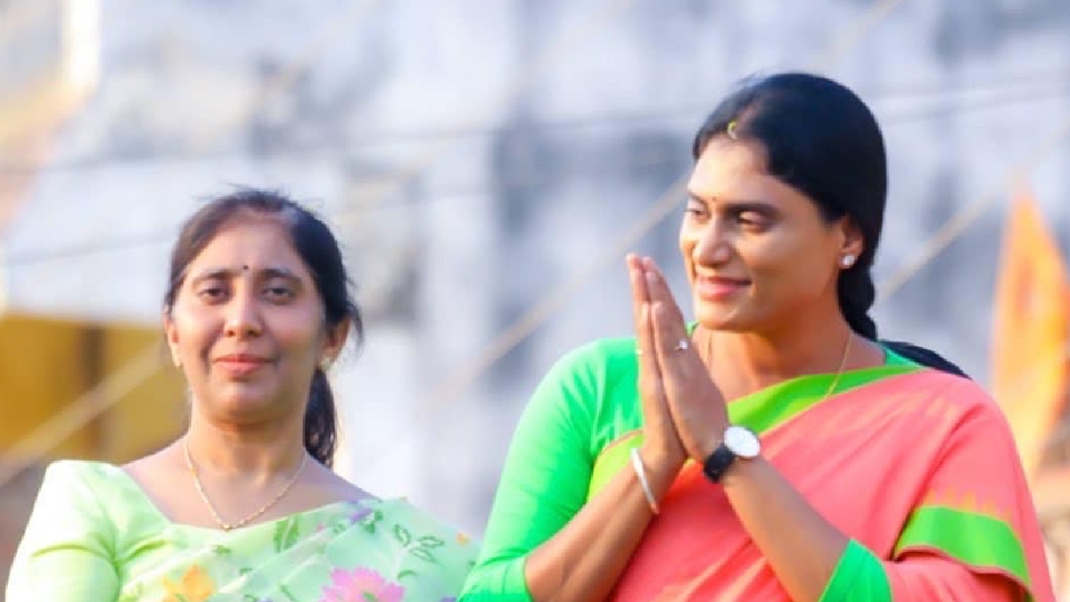 YS Viveka Case: షర్మిల, సునీత, బీటెక్ రవిపై హైకోర్టు సీరియస్-కడప ...