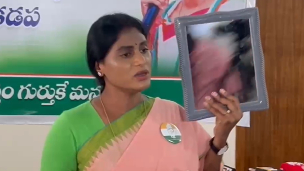 YS Sharmila: జగన్ కు అద్దం పంపిన షర్మిల - చంద్రబాబు పిచ్చి ఎందుకు ? మానసికస్ధితిపై ఆందోళన ...