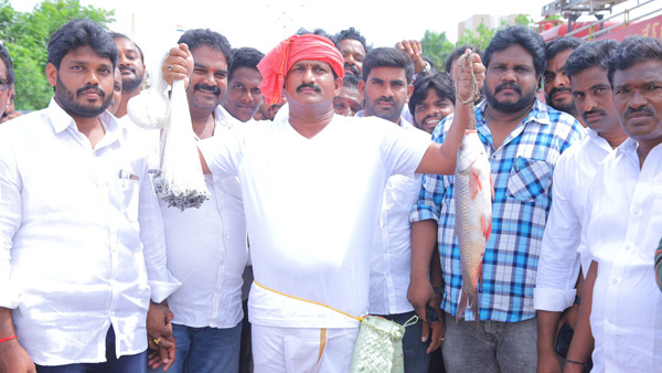 చేపల వల, సాంప్రదాయ మత్స్యకార వేషధారణలో అసెంబ్లీకి నరసాపురం ఎమ్మెల్యే ...