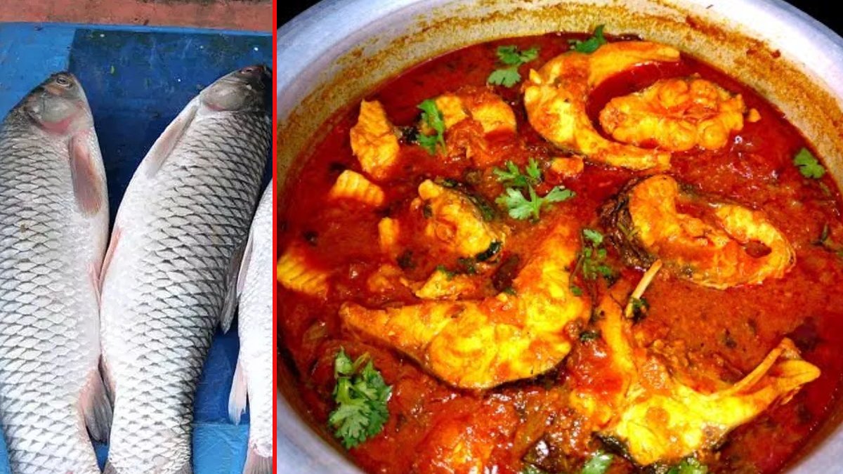 పులస చేపను తింటున్నారా..? | benefits of eating Pulasa fish - Telugu ...