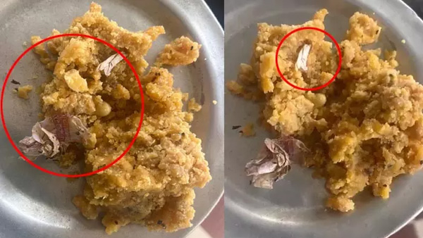 Tirumala Laddu: తిరుమల లడ్డూలో అంబర్ ప్యాకెట్.. షాకైన భక్తులు..! | The ...