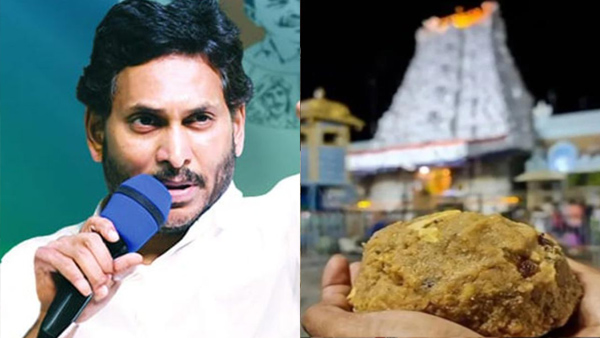 TTD: తిరుమలలో సాక్షియాజమాన్యంపై ఎఫ్ఐఆర్, జగన్ కు షాక్ ఇచ్చిన టీటీడీ ...