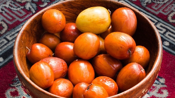 రేగుపండ్లు.. పోషకాలు మెండు.. తింటూ ఆరోగ్యంగా ఉండు! | Regu pandlu.. are ...