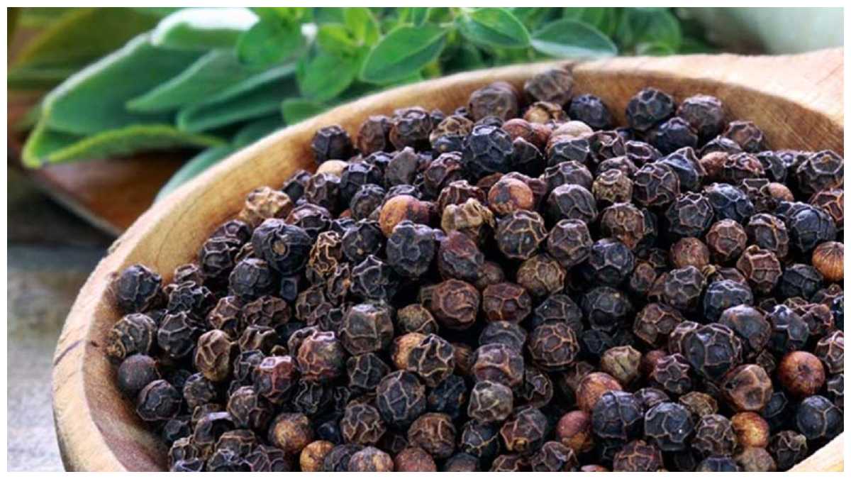 రోజూ మిరియాలు తింటే - ఈ సమస్యలకు దివ్యౌషధం..!! | Black pepper has many ...