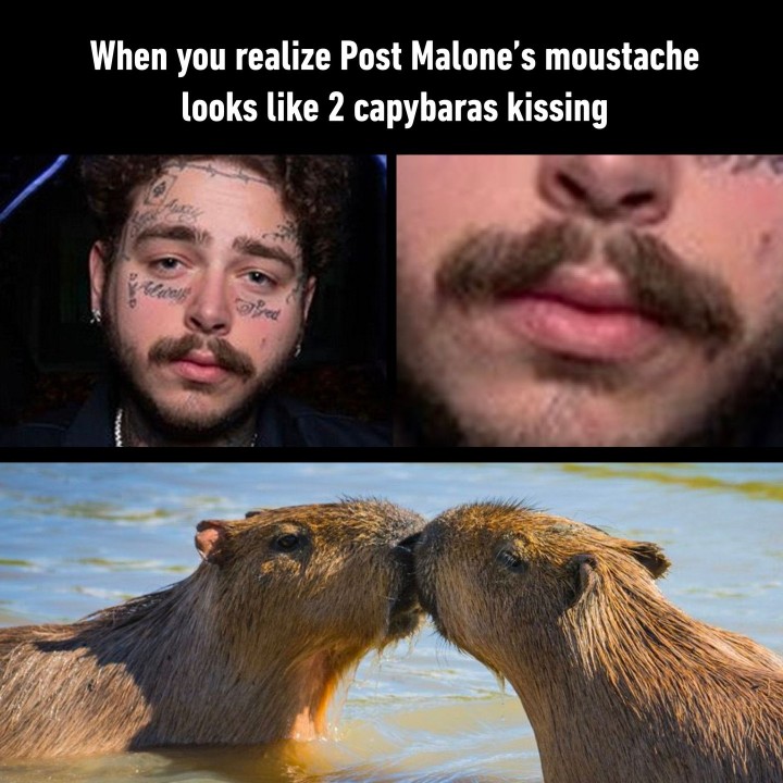 Can't unsee Quote Card - Hitzfeed