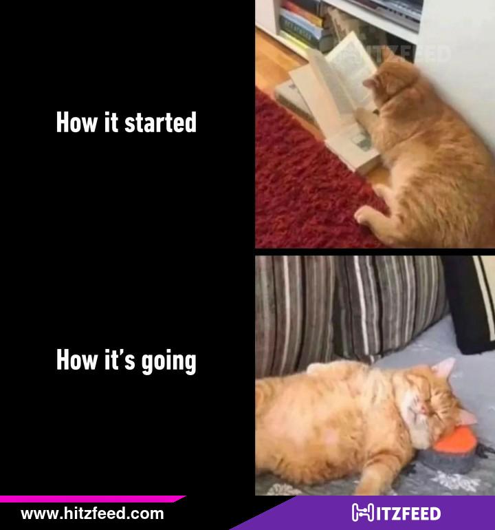 It's just 2 minutes later Quote Card - Hitzfeed