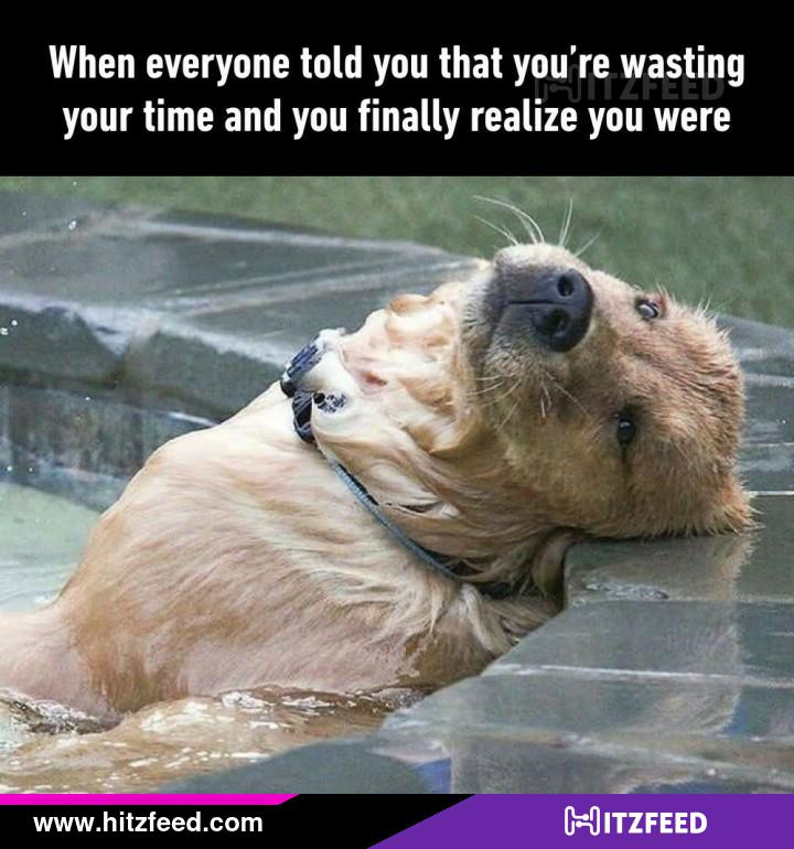 The time you enjoy wasting is not wasted time Quote Card - Hitzfeed