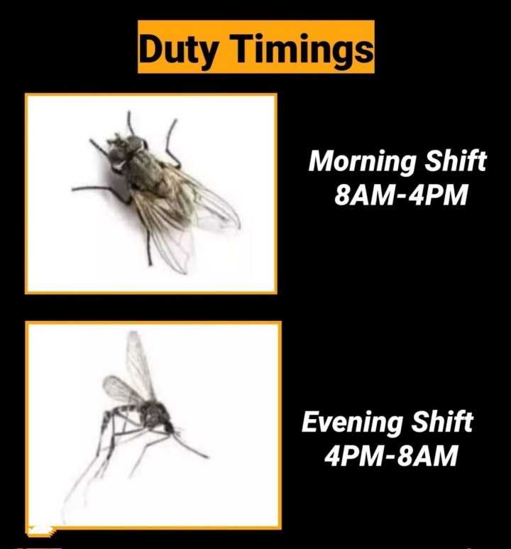 Duty time Quote Card - Hitzfeed
