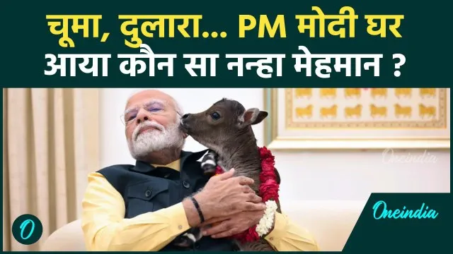PM मोदी के घर आया नया मेहमान, ये वीडियो खुश कर देगा - Oneindia Hindi