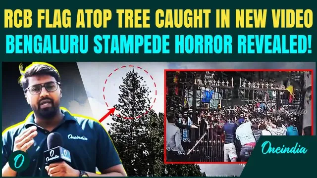RCB Stampede Horror EXCLUSIVE: UNSEEN Videos Show the Tree Climbed by ...